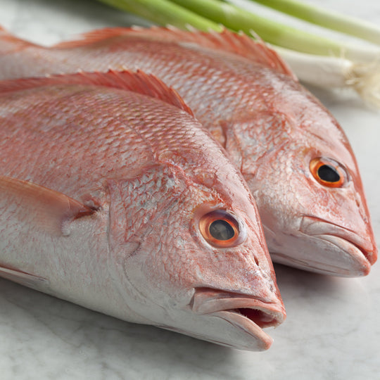 Frozen fish – Everfresh Butchers