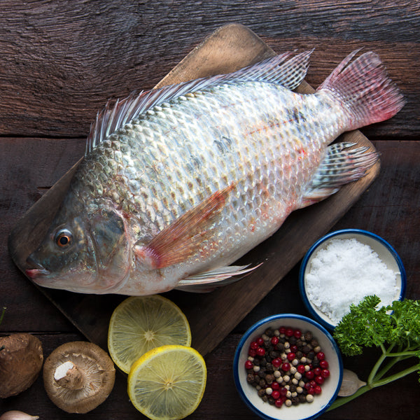 Tilapia - African Groceries | Everfresh Butchers